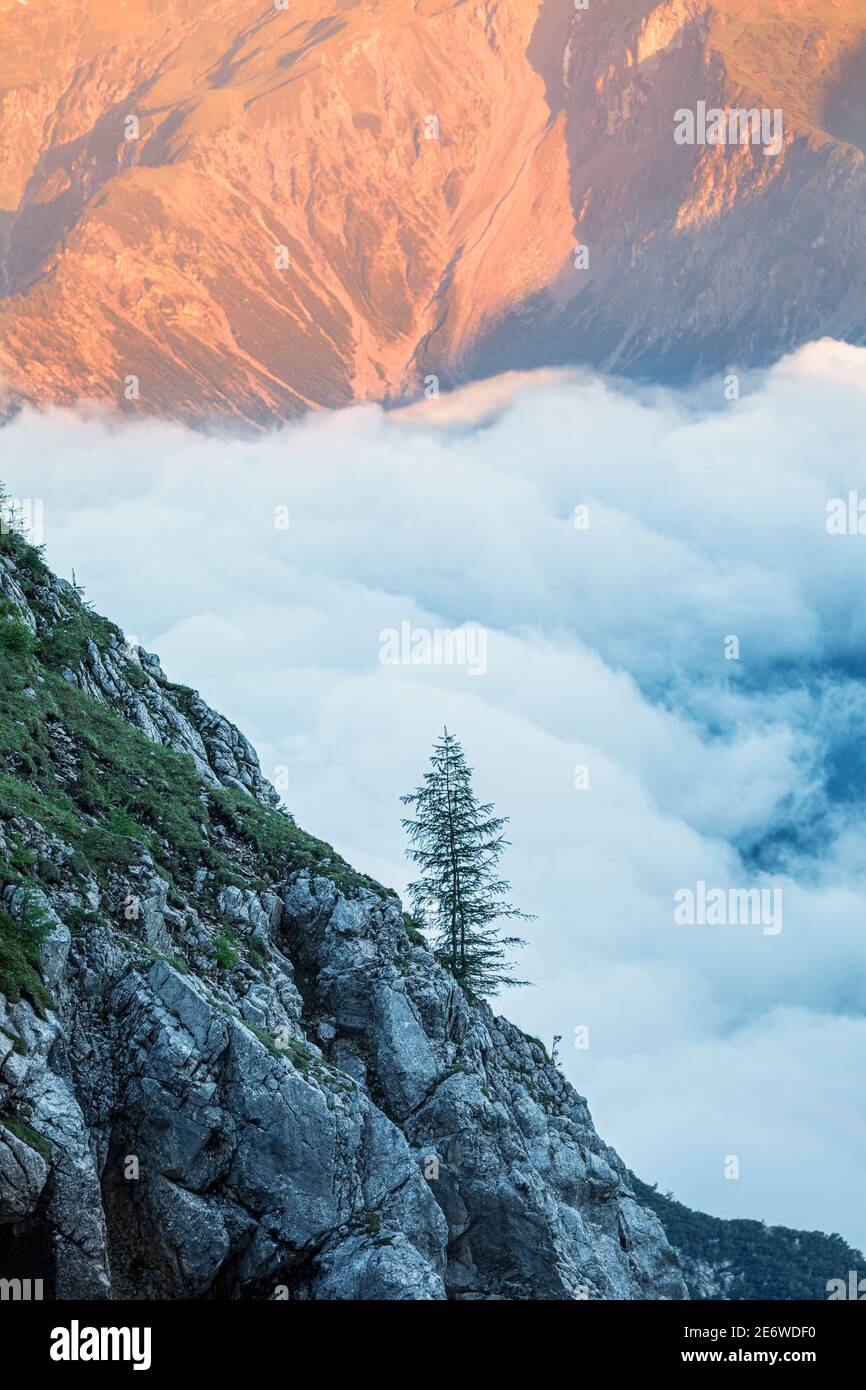 Rosk hi-res stock photography and images - Alamy