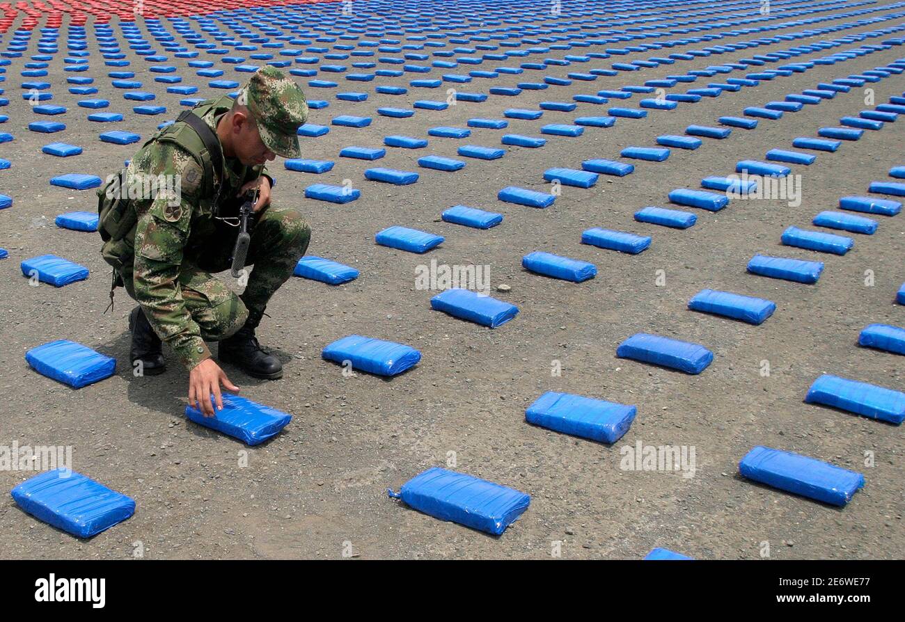 Anti marijuana raid hi-res stock photography and images - Alamy