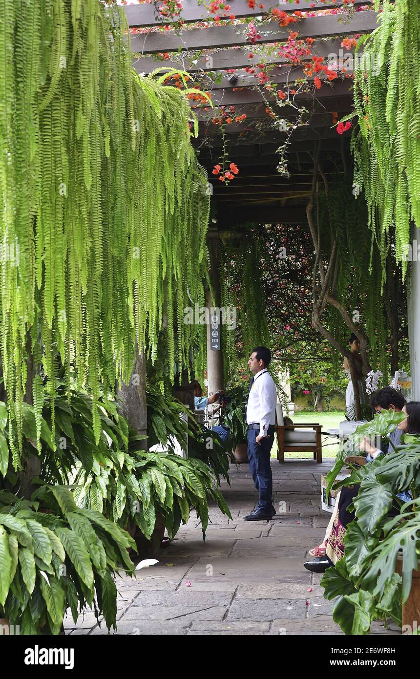 Larco museum hi-res stock photography and images - Alamy