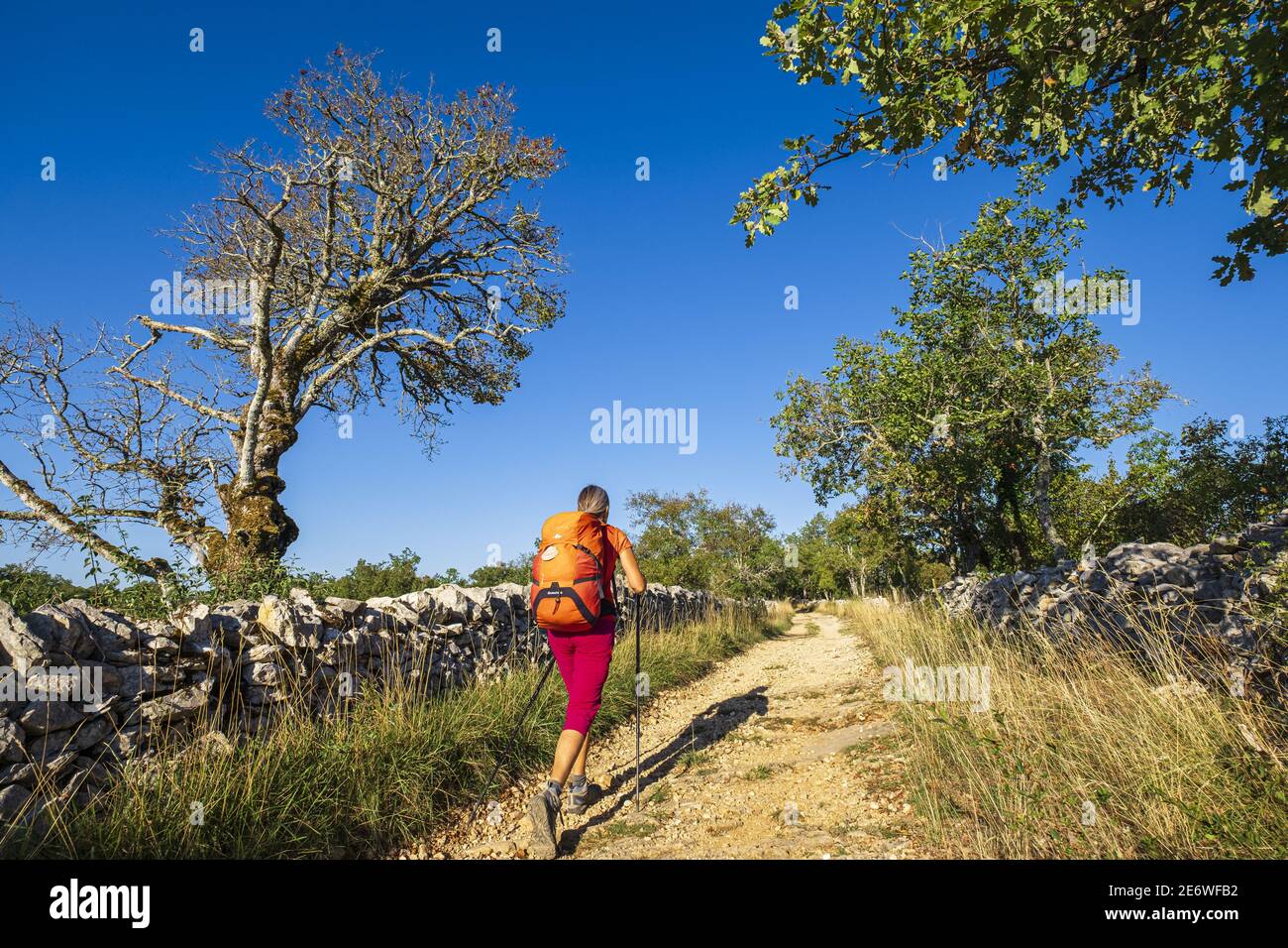 France, Lot, between Bach and Cahors, hike on the Via Podiensis, one of ...