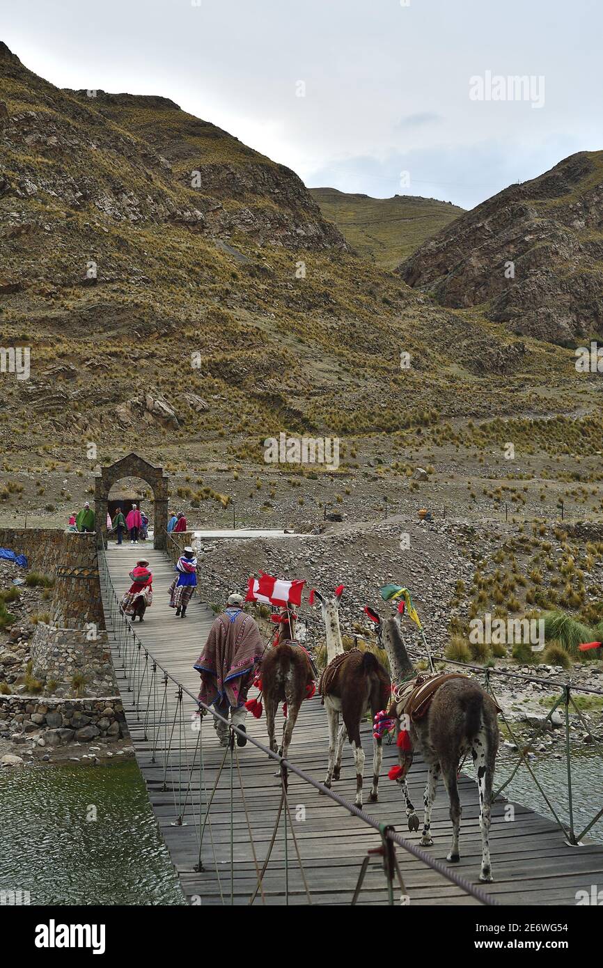 Peru, Sibayo, lamas Stock Photo - Alamy