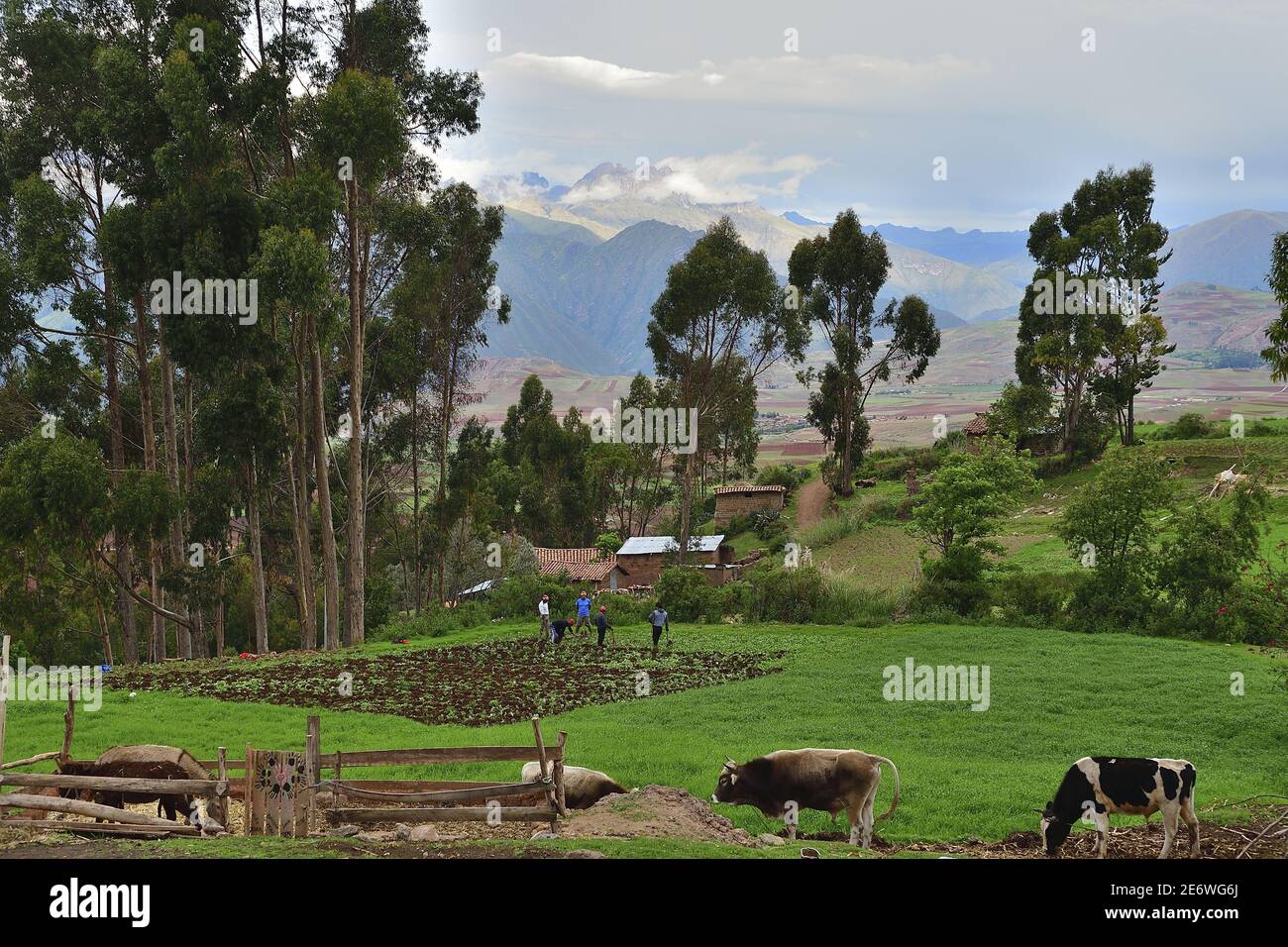 Peru, Community of Misminay Stock Photo - Alamy