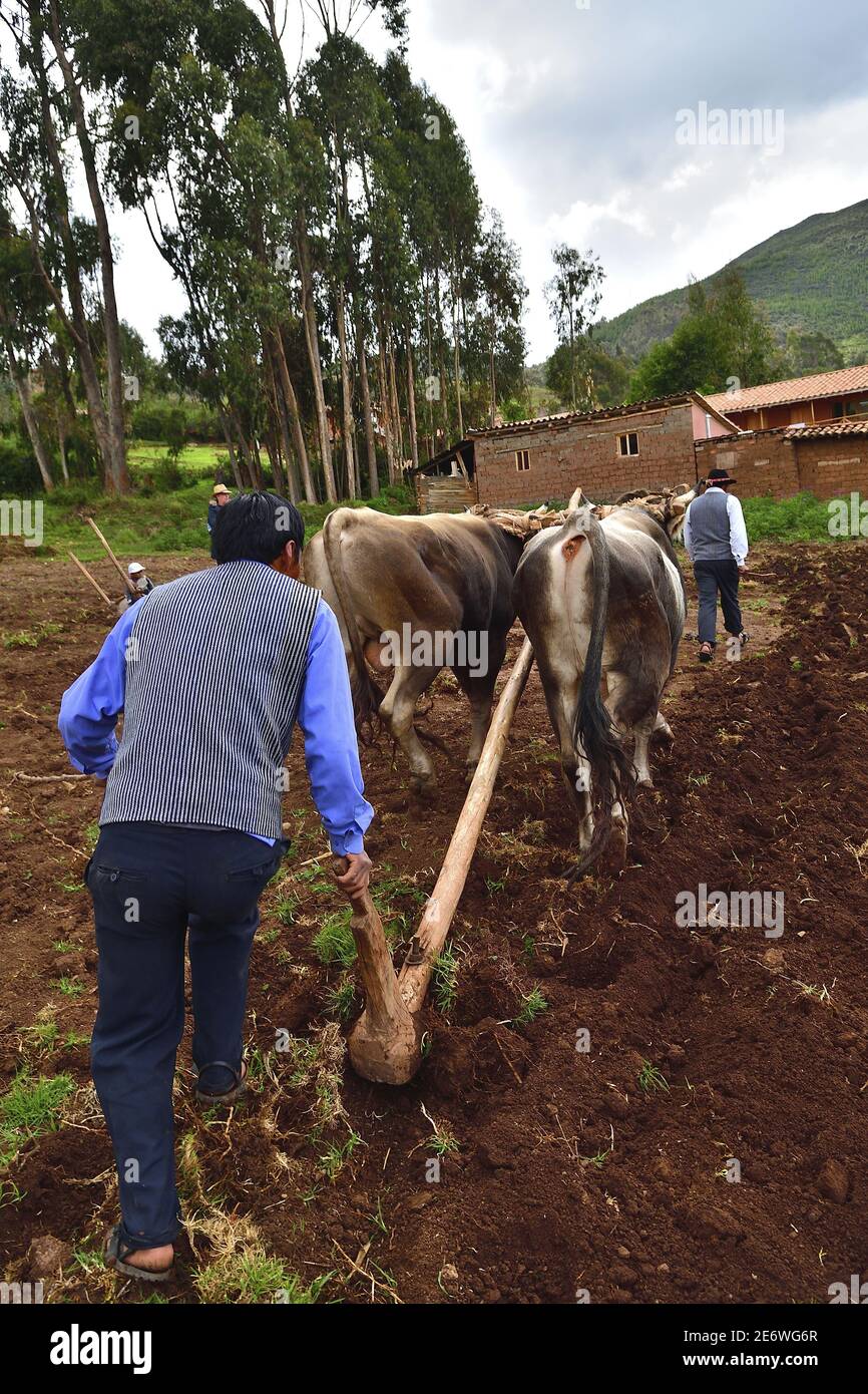 Misminay peru hi-res stock photography and images - Alamy
