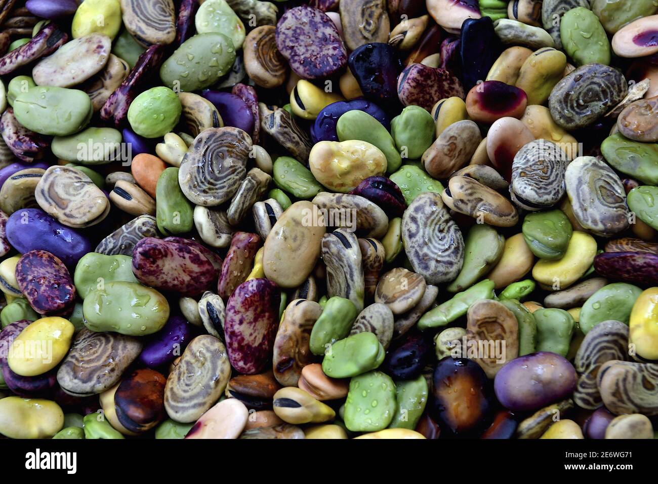 Misminay peru hi-res stock photography and images - Alamy