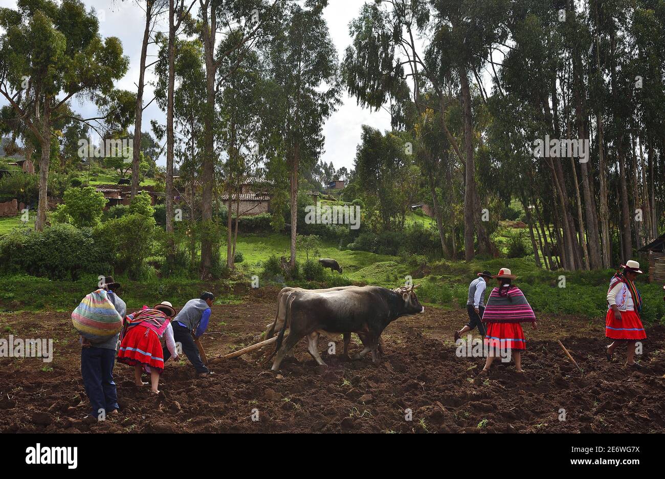 Peru, Community of Misminay Stock Photo - Alamy