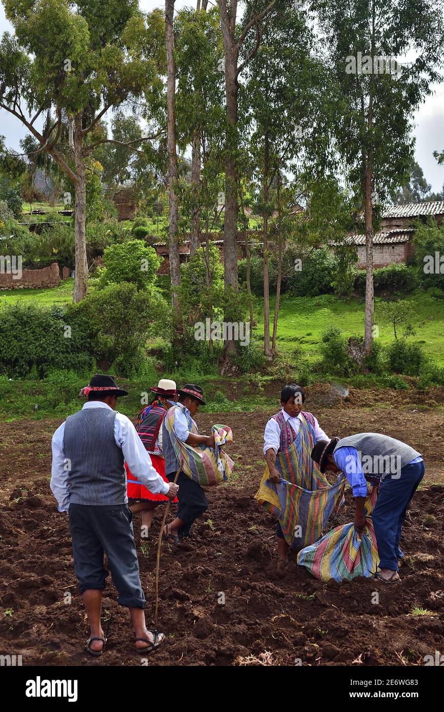 Misminay peru hi-res stock photography and images - Alamy