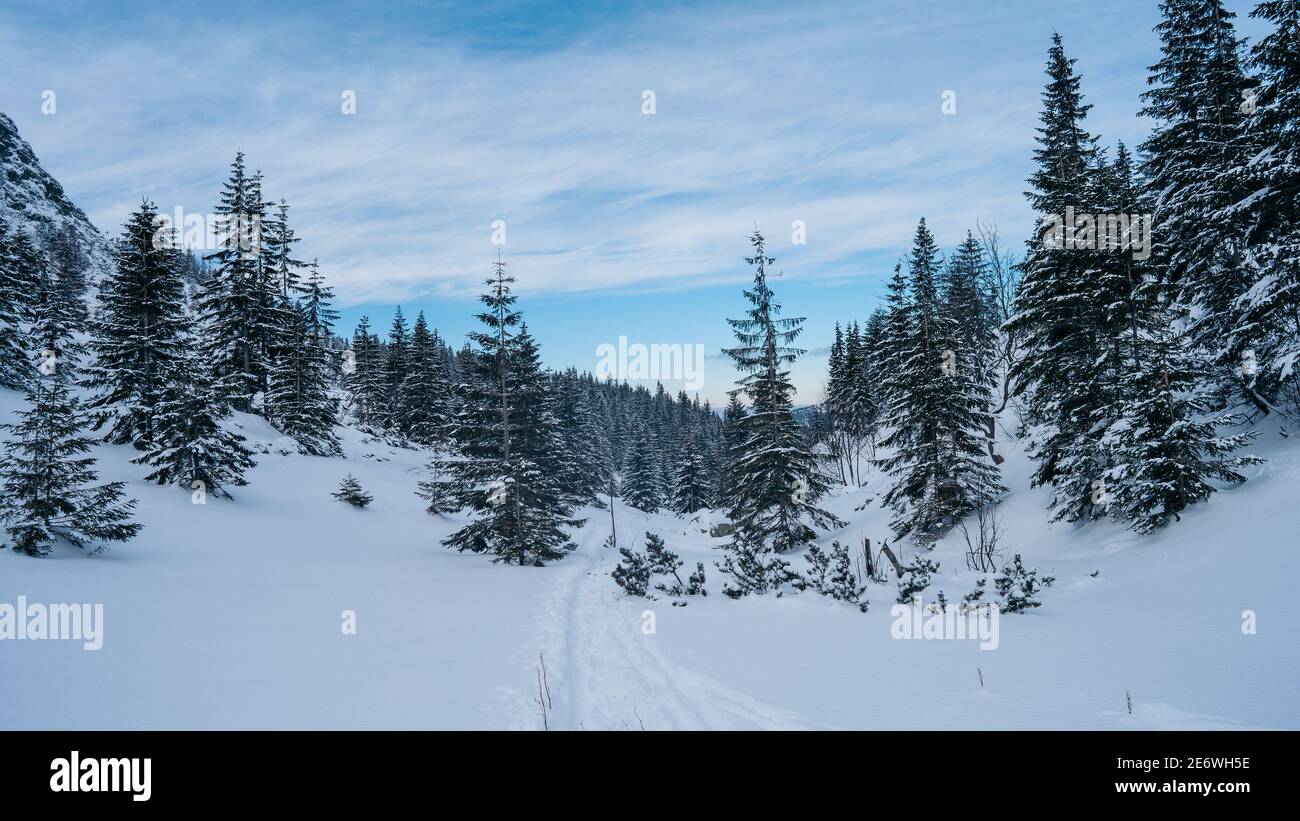 Beautiful frozen winter landscape hi-res stock photography and images ...