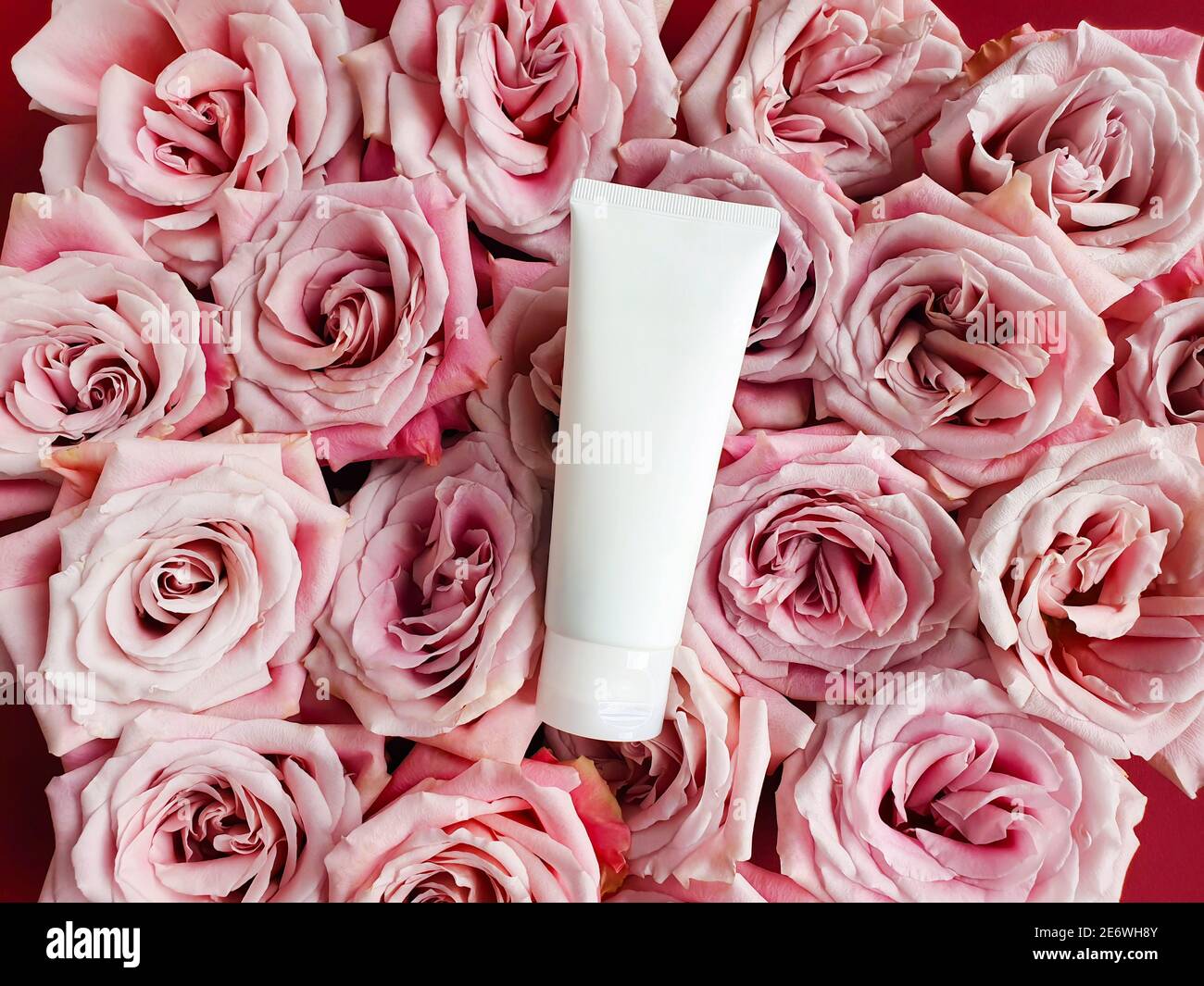 Unbranded white squeeze bottle plastic tube and pink roses background ...
