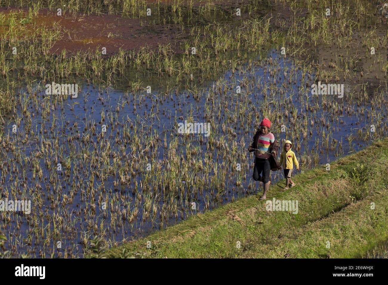 Madagascar, Amoron'i Mania region, central highlands, villages and ...