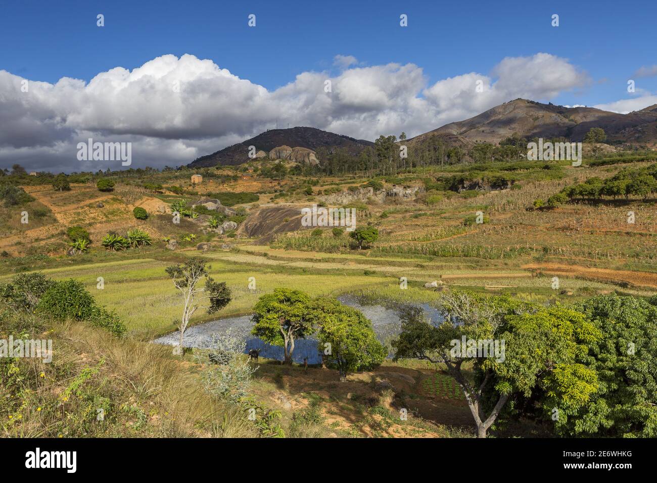 Madagascar, Amoron'i Mania region, central highlands, villages and ...