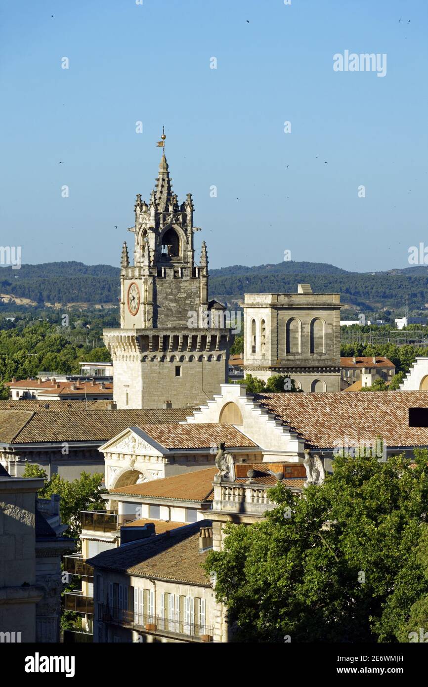 France, Vaucluse, Avignon, Saint Agricol church and City Hall belltower ...