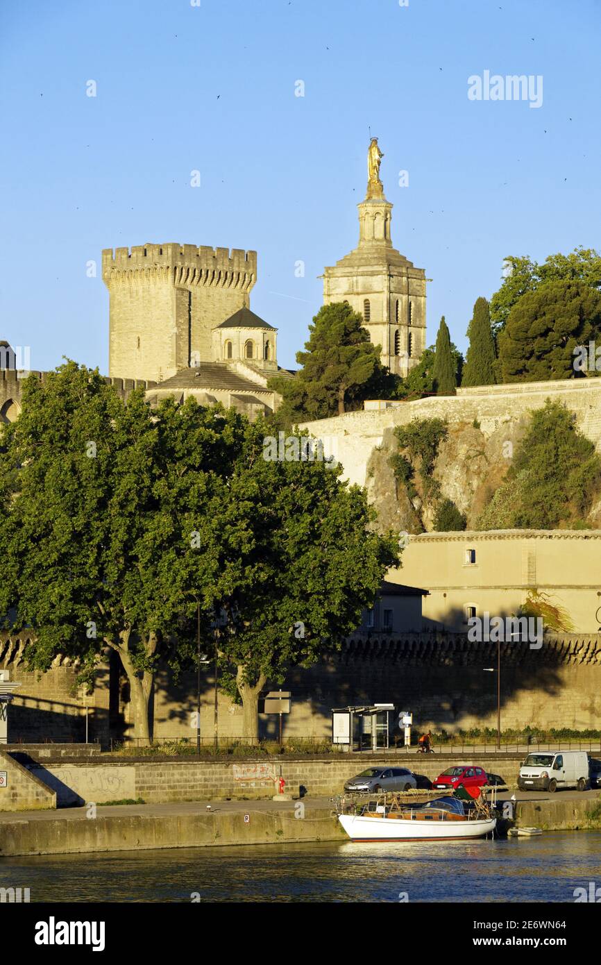 France, Vaucluse, Avignon, the Rhone river with the Cathedral of Doms ...