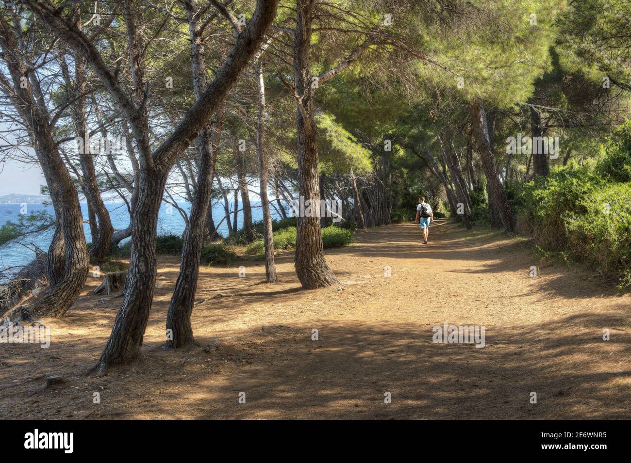 France, Alpes maritimes, Cannes, Lerins Islands, Saint Margaret Island ...
