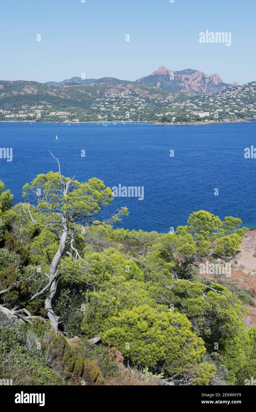 France, Var, Saint Raphael, hike around the rock of the Dramont the bay ...