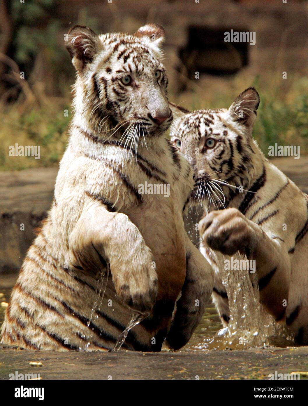 Hottest temperature hi-res stock photography and images - Alamy