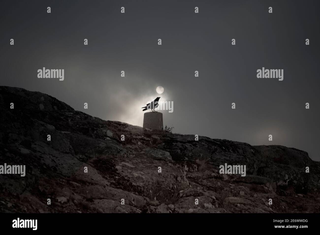 Spooky crow at night hi-res stock photography and images - Alamy