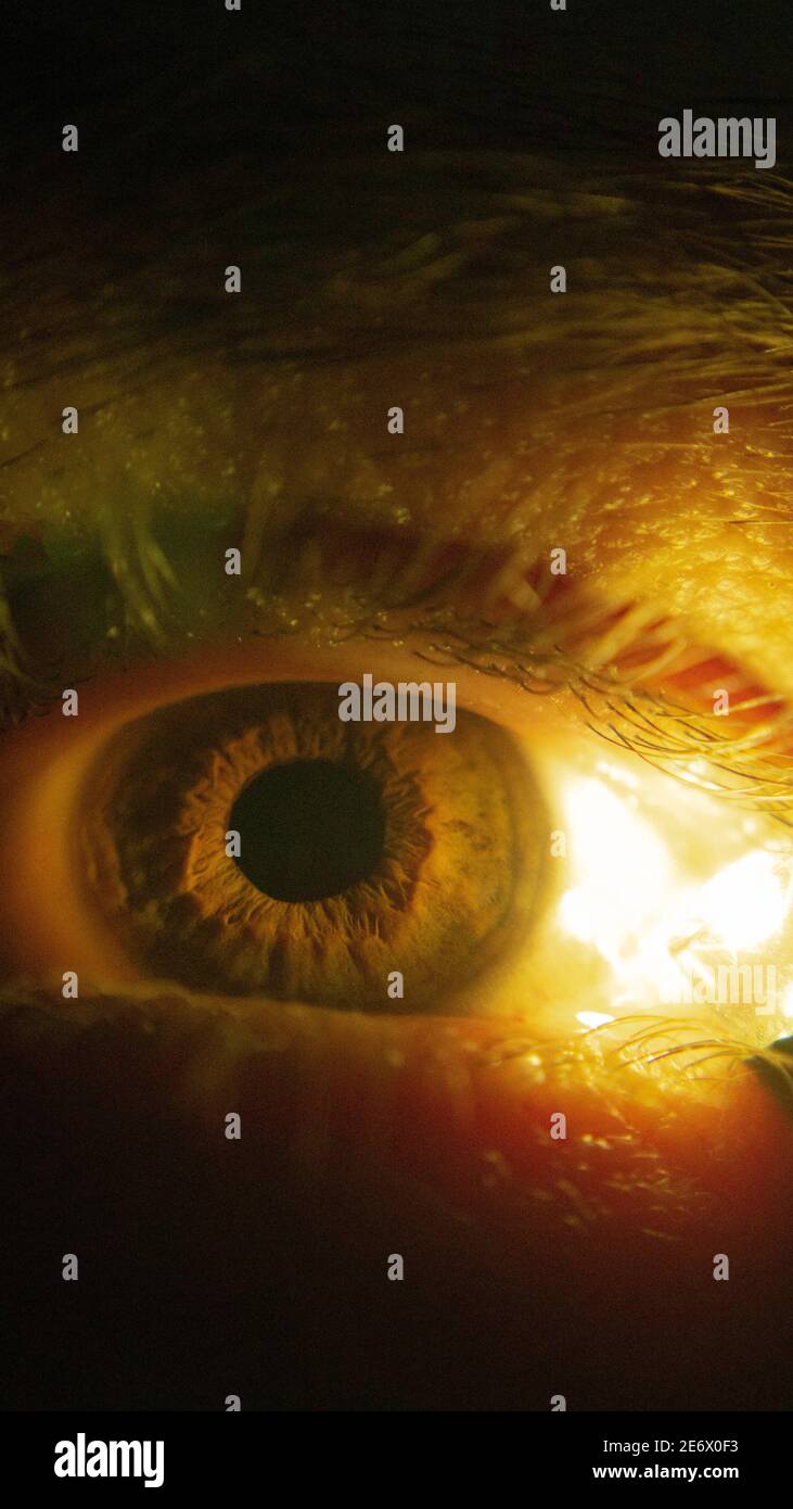 Human eye in the dark illuminated by a small light Stock Photo - Alamy