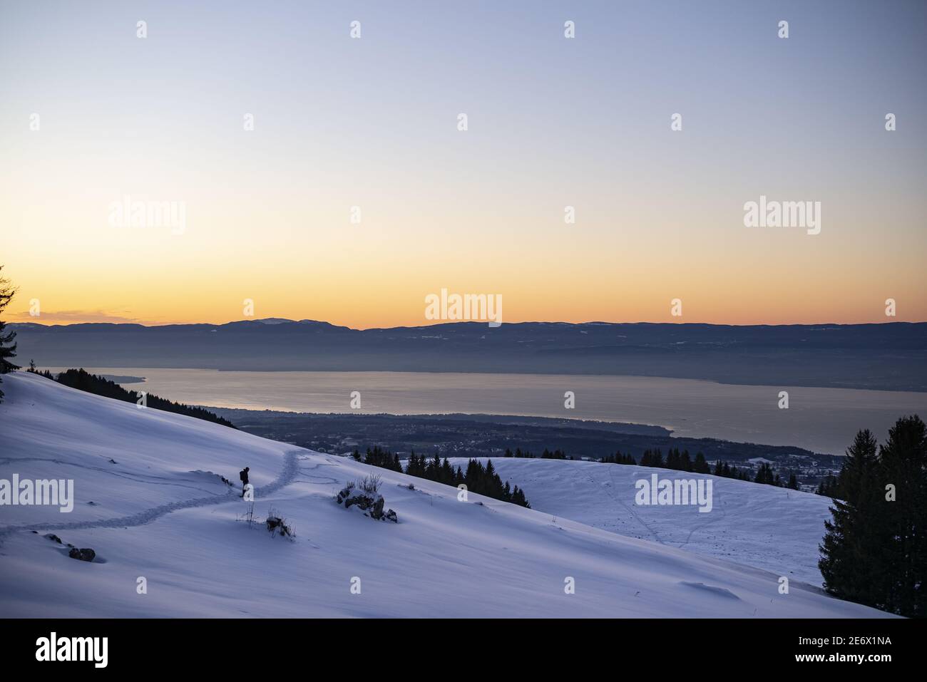 France, Haute Savoie, Evian country, Gavot country, Chevenoz, Bernex ...