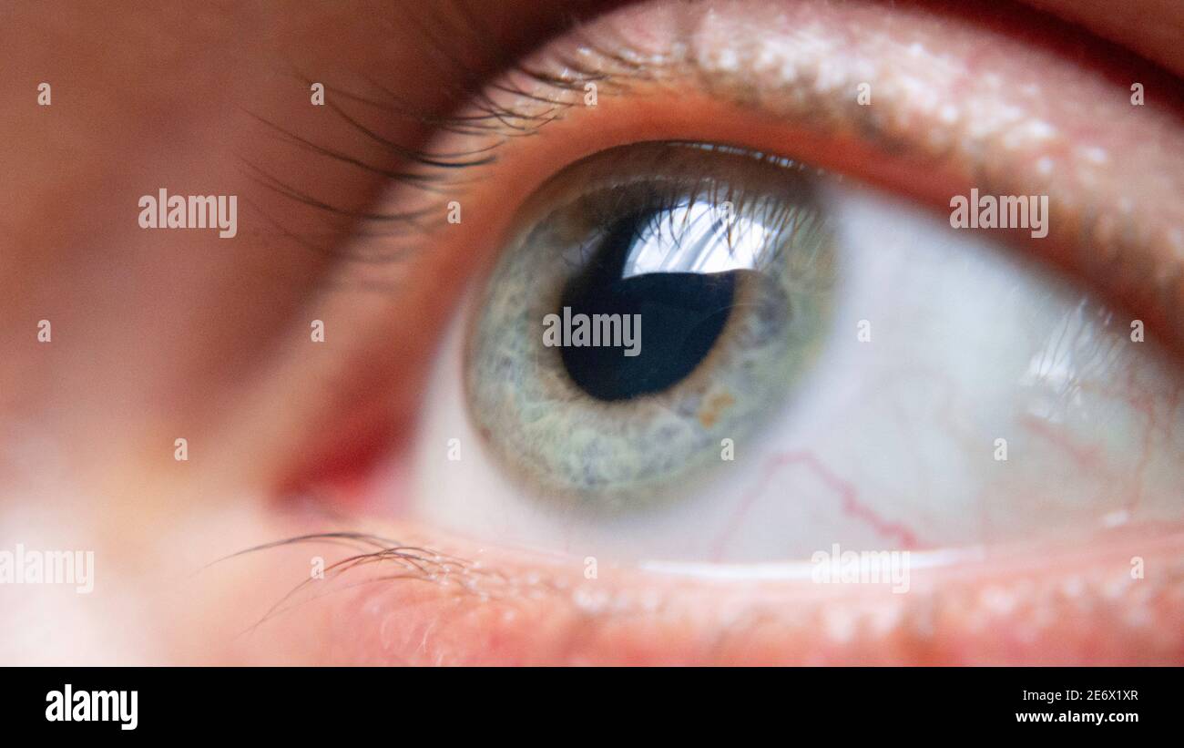 A close-up of a human eye Stock Photo - Alamy