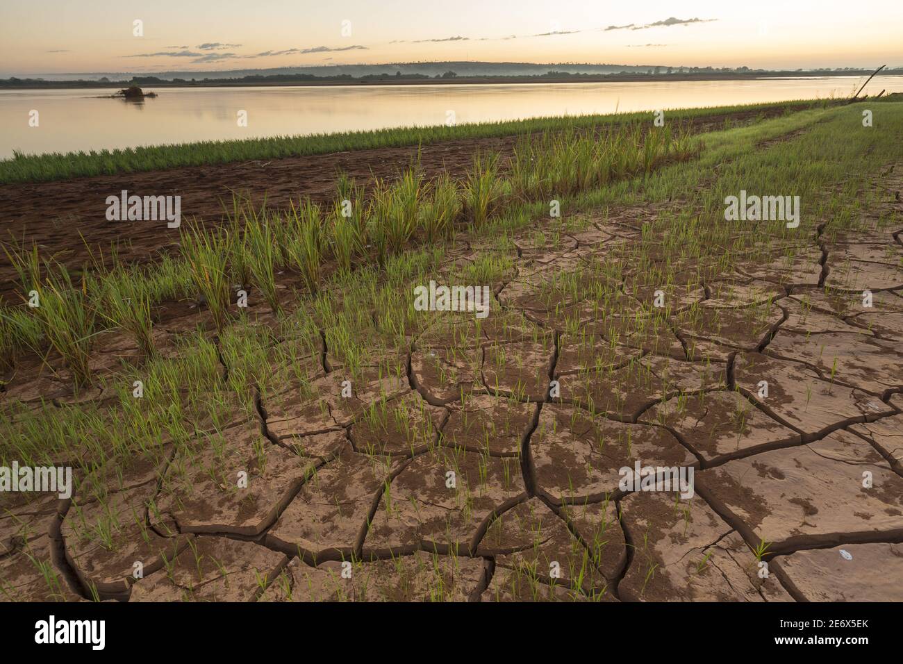 Madagascar, Menabe region, Bemaraha massif, the Tsiribihina river ...