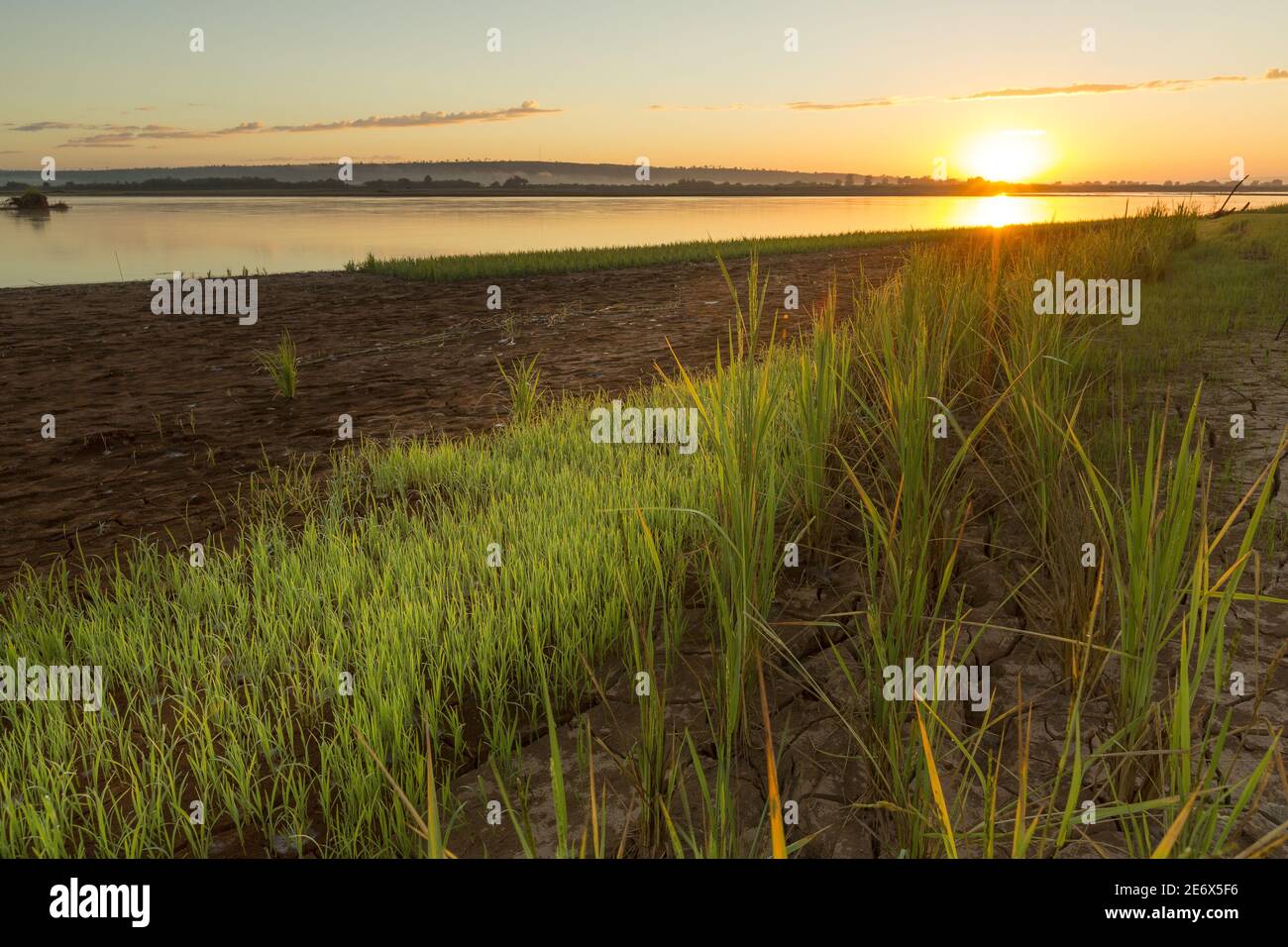 Madagascar, Menabe region, Bemaraha massif, the Tsiribihina river ...