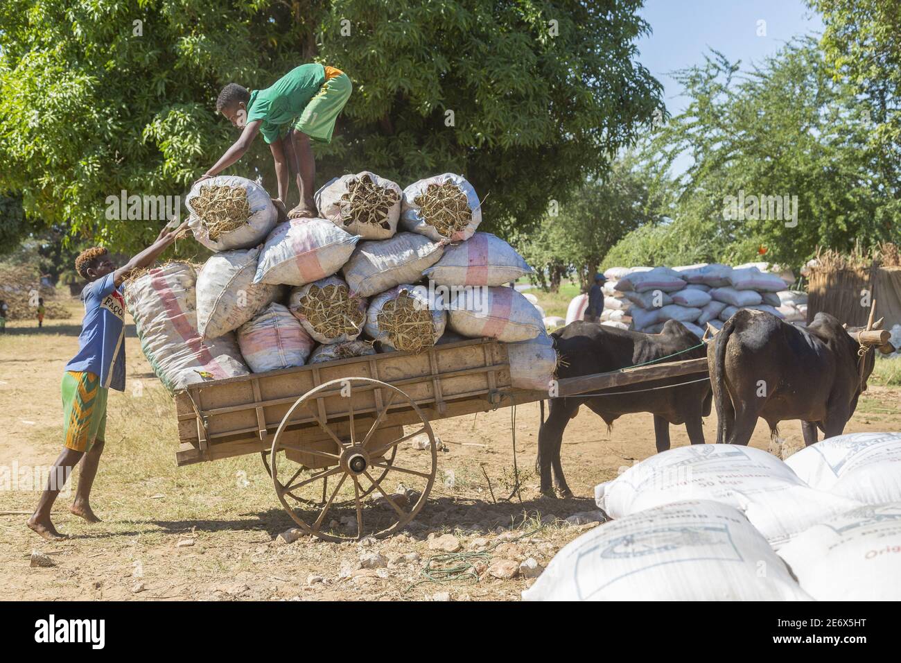 loading a cart on the port Stock Photo - Alamy