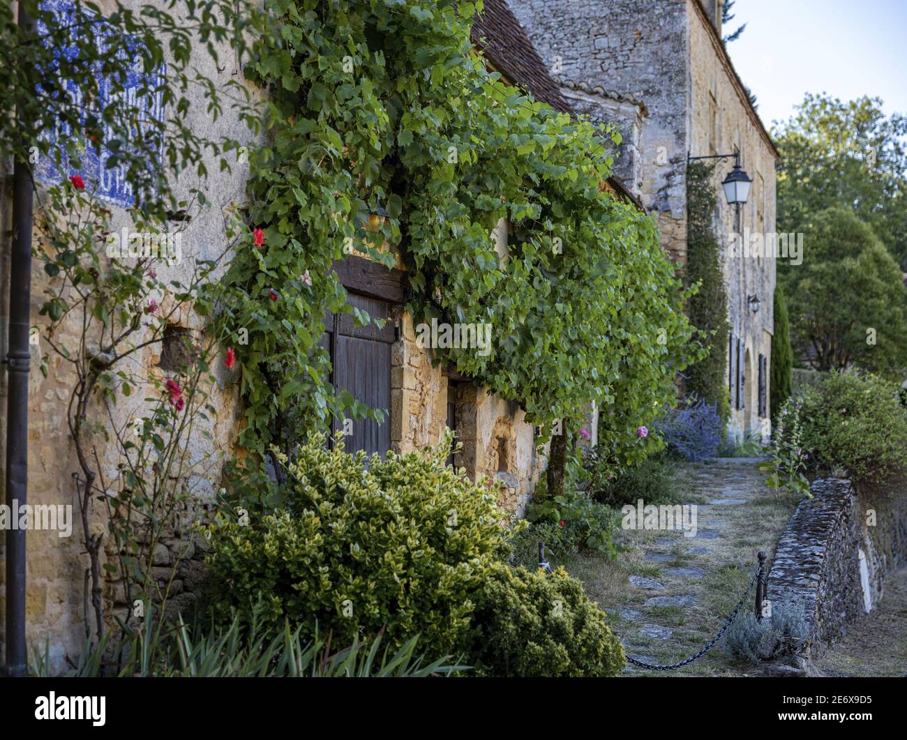 Pauna hi-res stock photography and images - Alamy