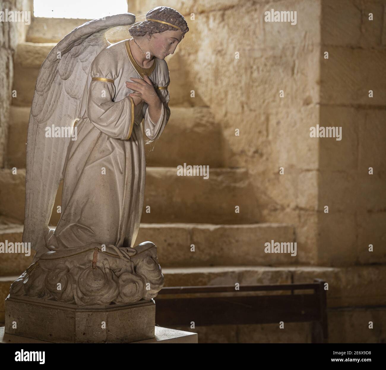 Pauna hi-res stock photography and images - Alamy