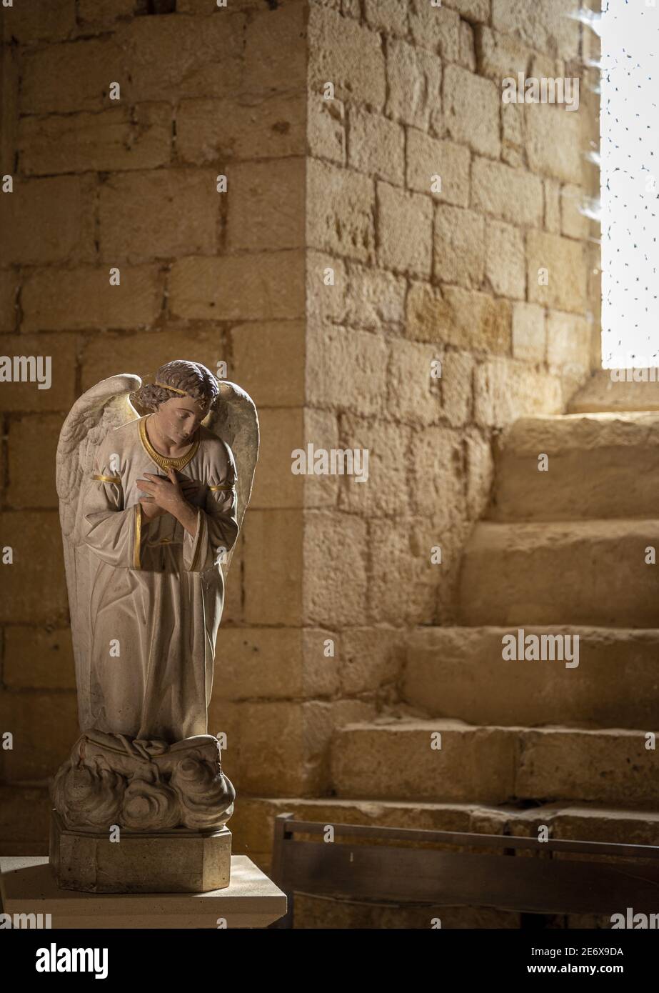 Pauna hi-res stock photography and images - Alamy