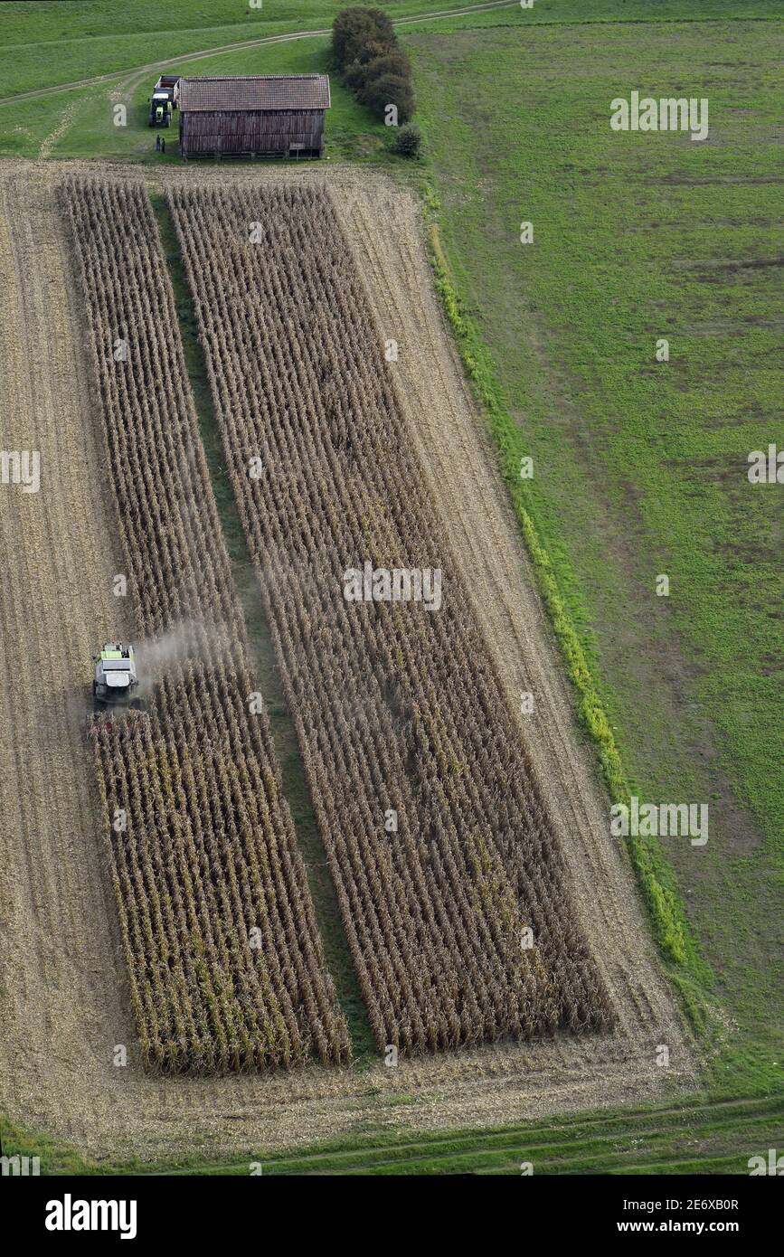 Corn Maize Harvest France High Resolution Stock Photography and Images ...