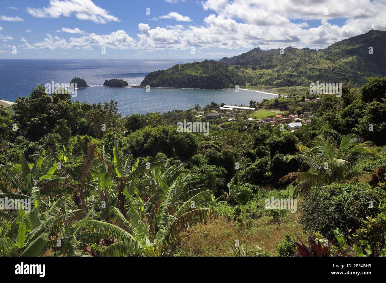 Caribbean, Dominica Island, Castle-Bruce, the old plantation turned ...