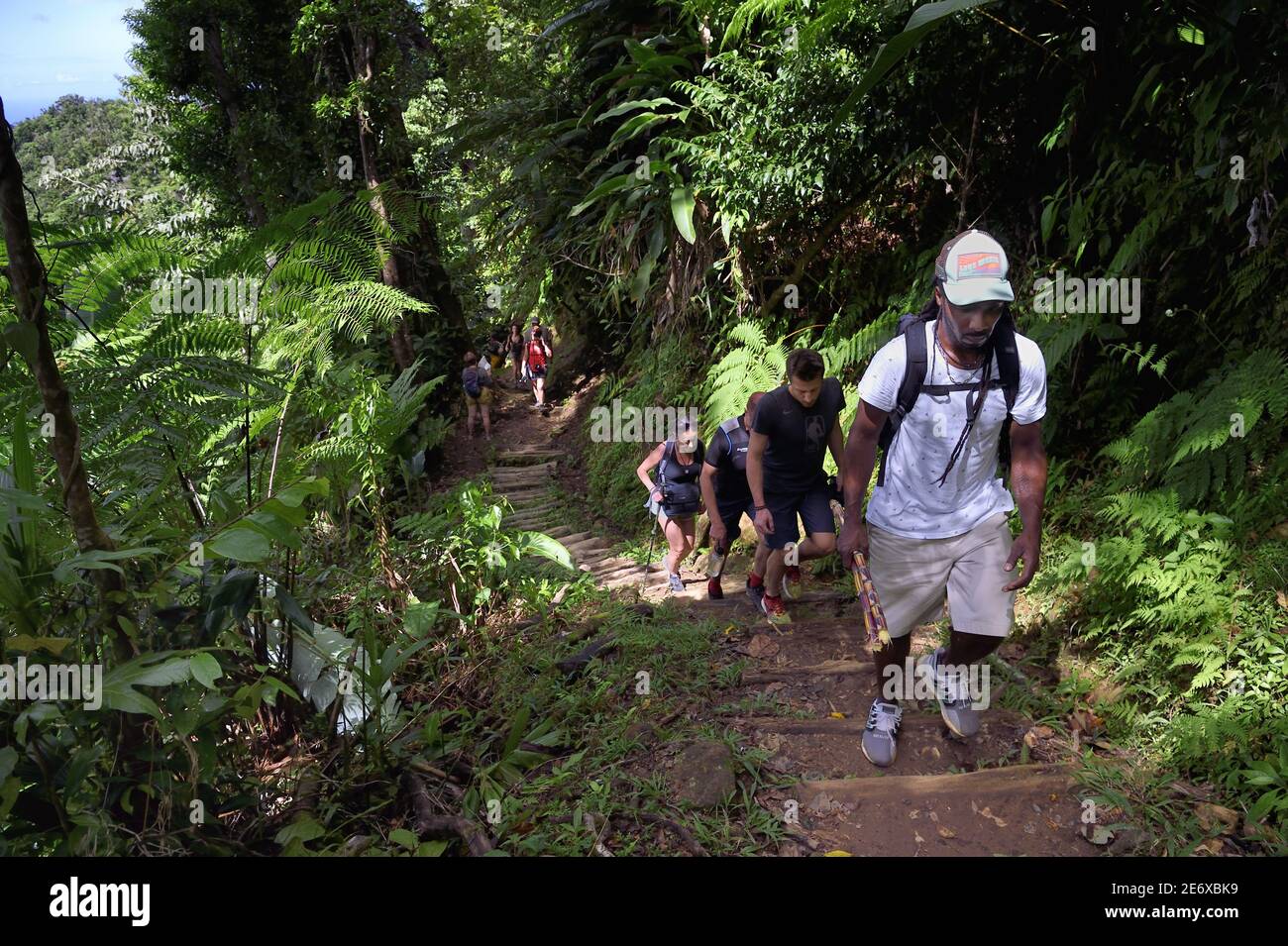 Caribbean, Dominica Island, Morne Trois Pitons National Park listed as ...