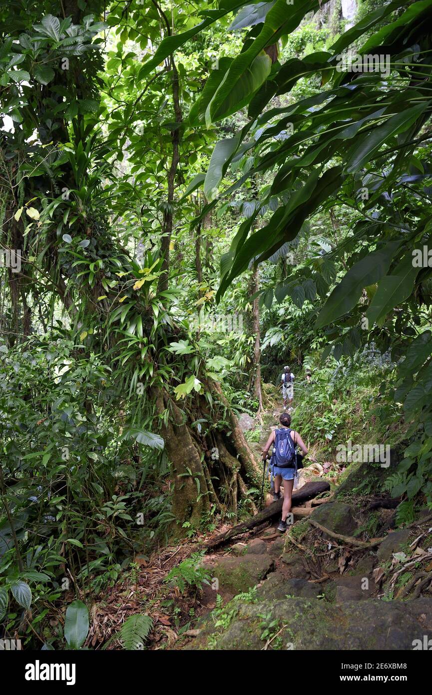 Caribbean, Dominica Island, Morne Trois Pitons National Park listed as ...