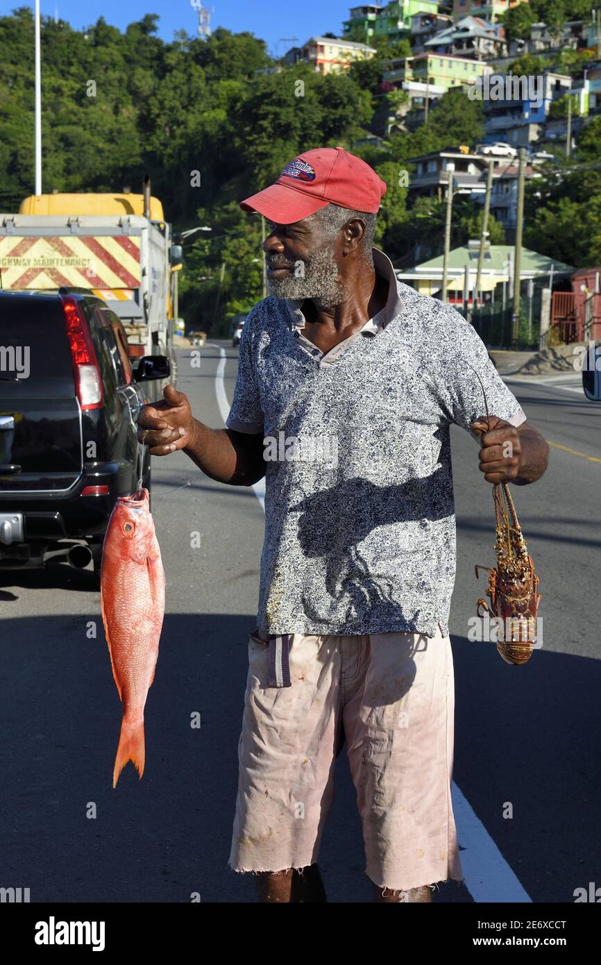 Caribbean, Dominica Island, the capital city Roseau, roadside fish ...