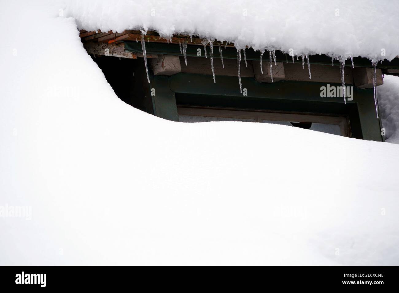 A deciduous tree in garden covered with snow. On the ground there are ...