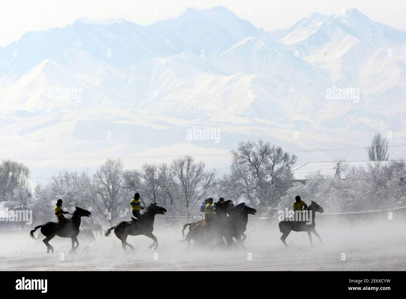 Headless goat hi-res stock photography and images - Alamy