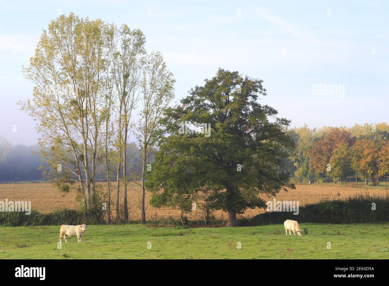 Arcon hi-res stock photography and images - Alamy