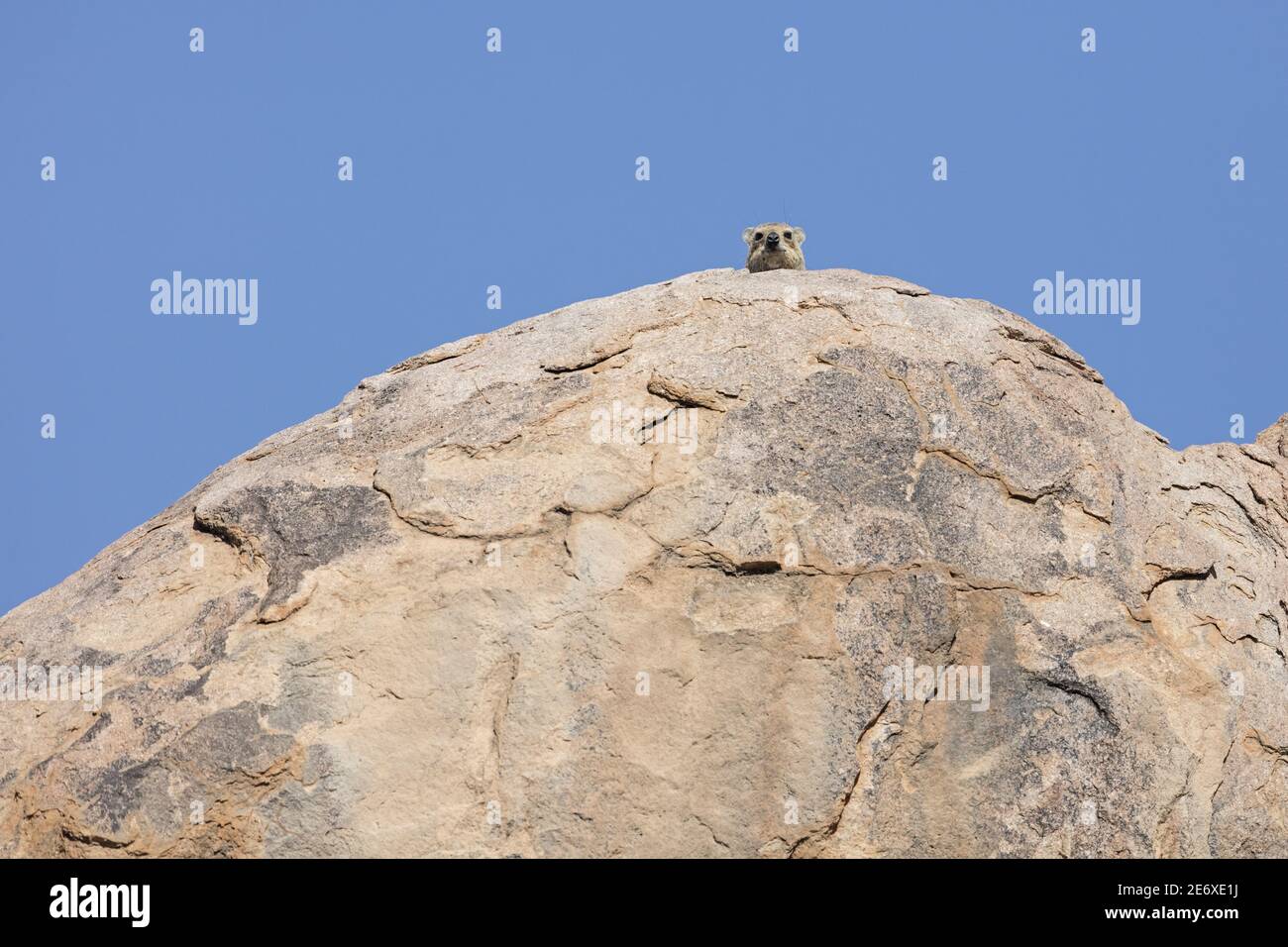 Madisa camp hi-res stock photography and images - Alamy