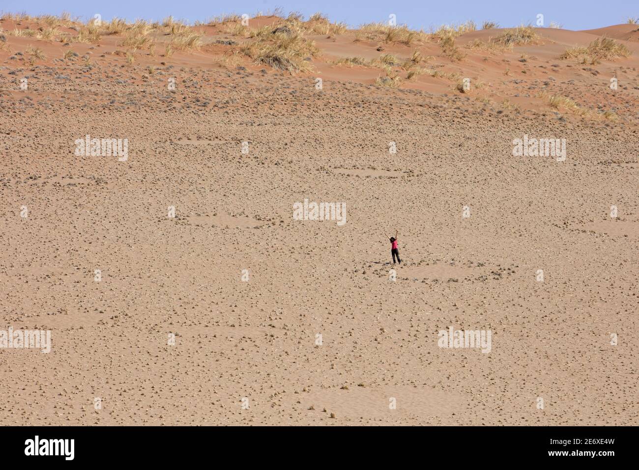 Namibia, Namib desert, Sesriem, fairy circles Stock Photo - Alamy