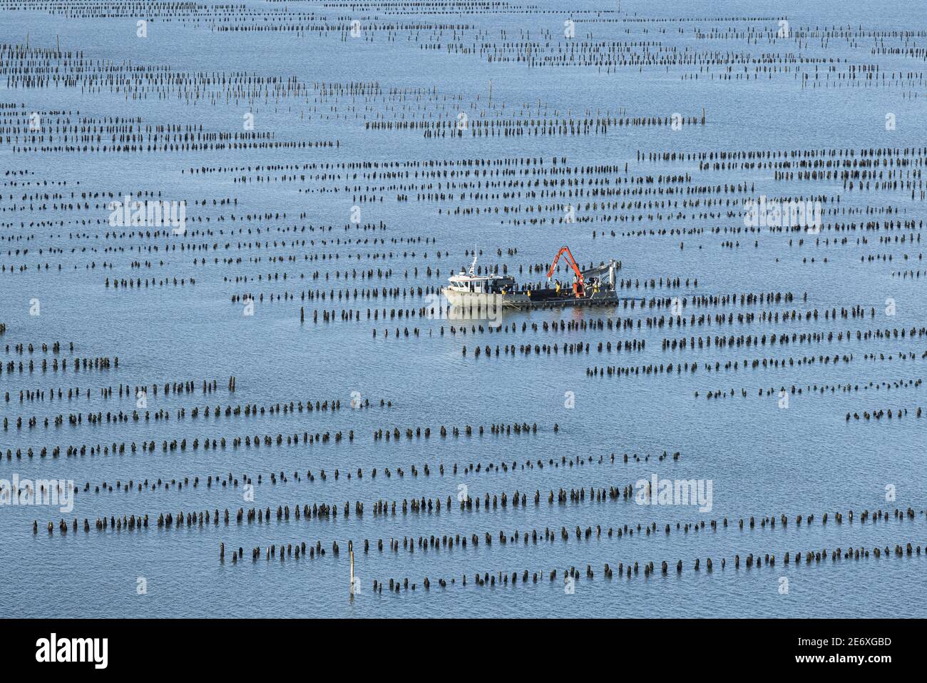 Mussel Farm Boat High Resolution Stock Photography and Images - Alamy