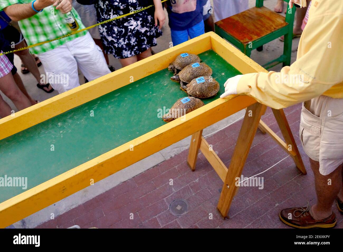 Turtle Kraal competition. No Key West, Florida vacation is complete ...