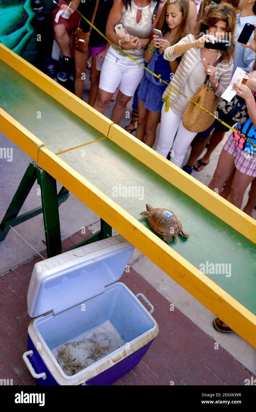 Turtle Kraal competition. No Key West, Florida vacation is complete ...