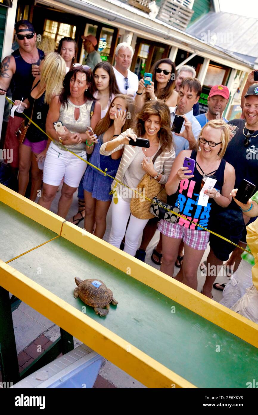 Turtle Kraal competition. No Key West, Florida vacation is complete ...