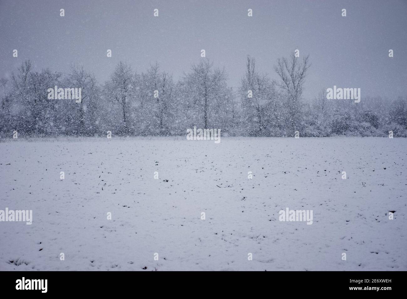 Freezing person snowstorm hi-res stock photography and images - Alamy