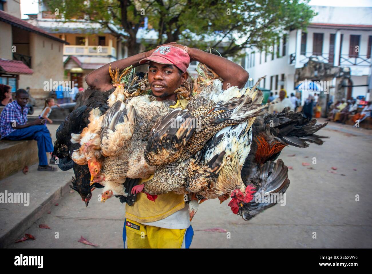 January 2020 - Kenya, Lamu Island. Chicken seller in Lamu Fort Plaza ...