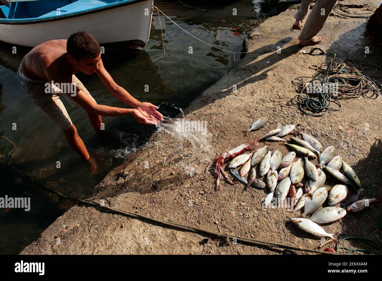 Algerian fishing hi-res stock photography and images - Alamy
