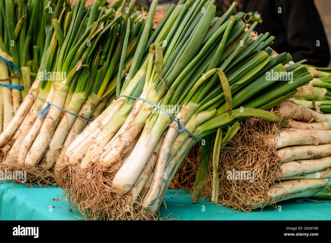 Big bundles of the spring onion on the counter on the market for show ...