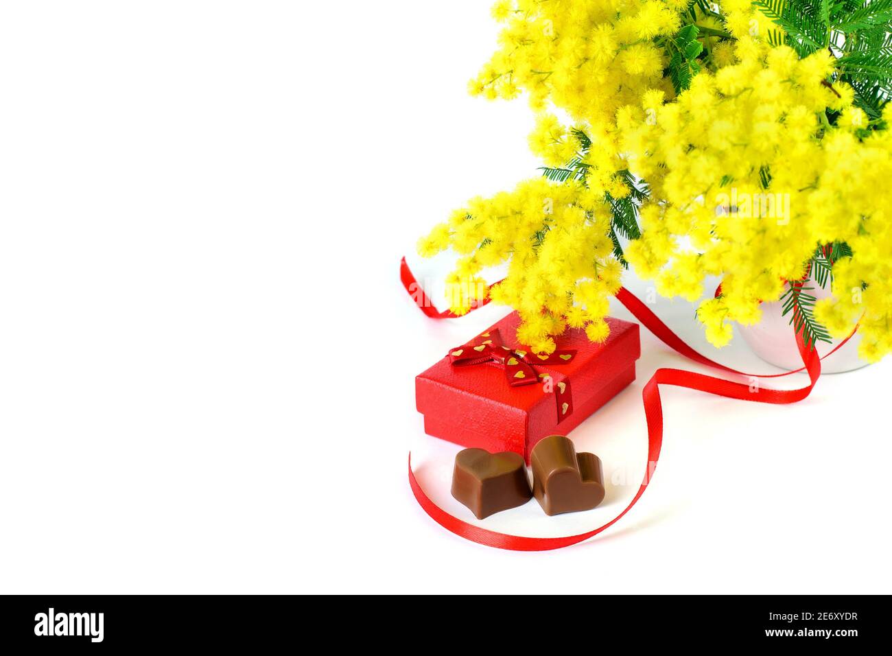 Tender fluffy fresh mimosa with a gift box, red ribbon and two ...