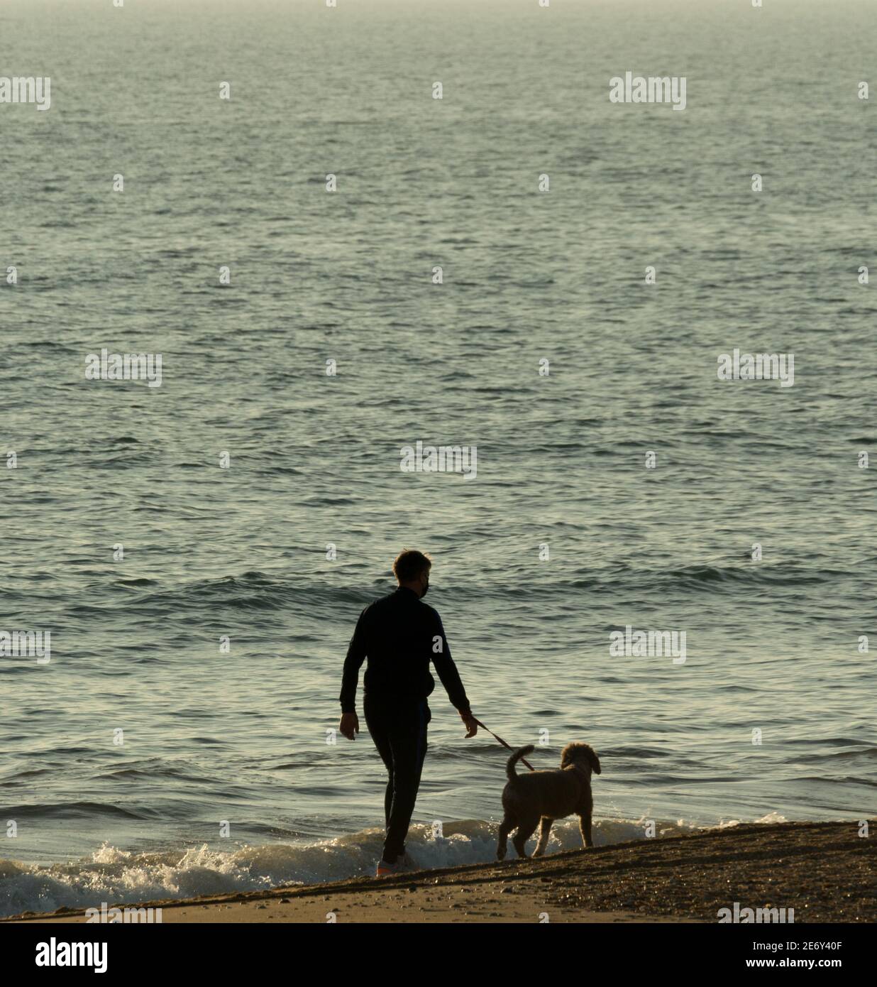 Silhouette of a man walking with dog on the beach Stock Photo - Alamy