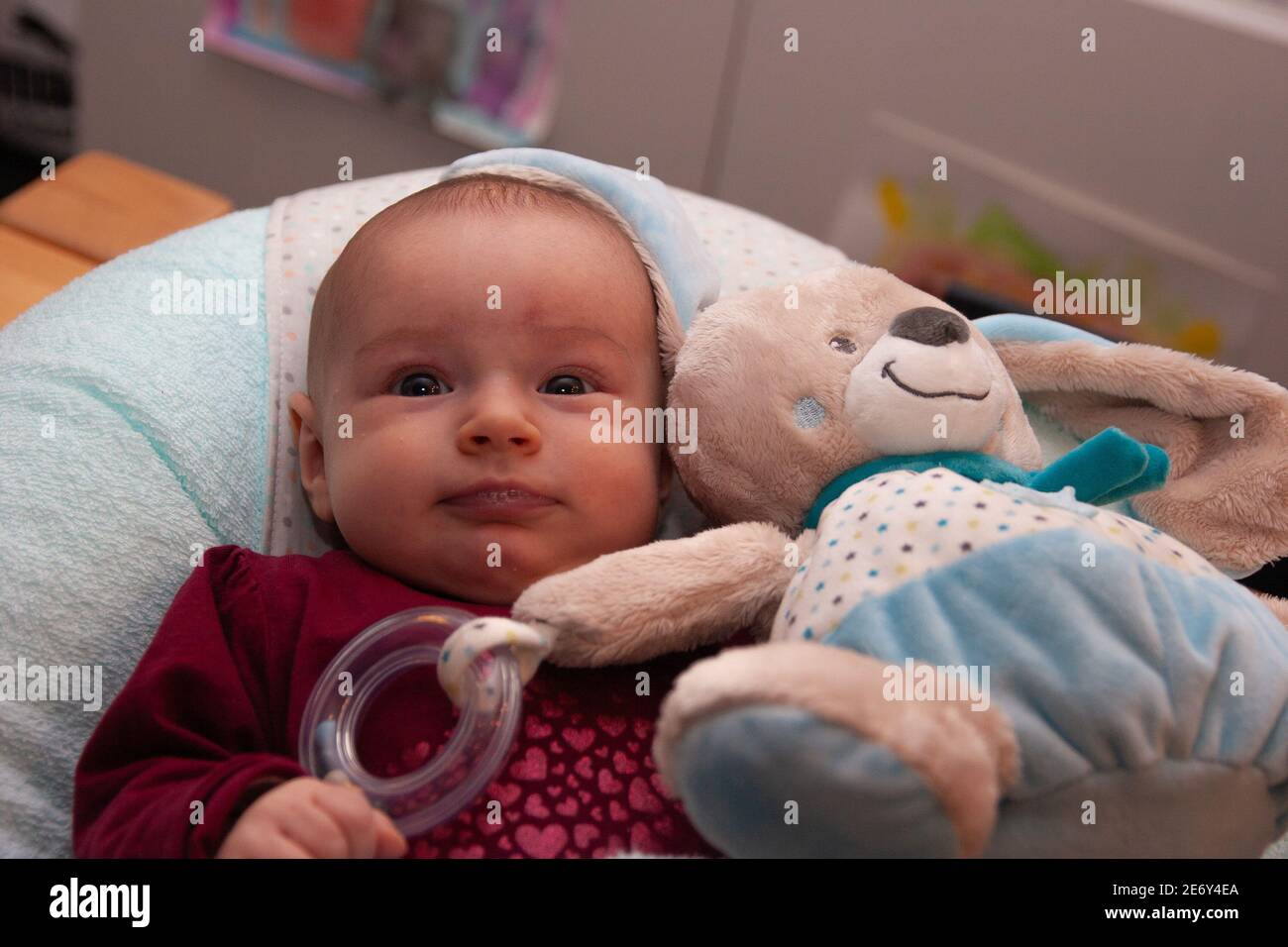 Cuddly cushion hi-res stock photography and images - Alamy